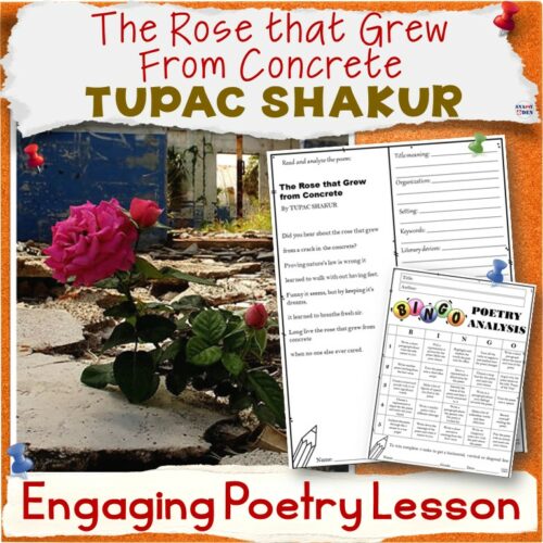 Poetry Lesson - The Rose Grew from Concrete by Tupac Shakur - Print and ...