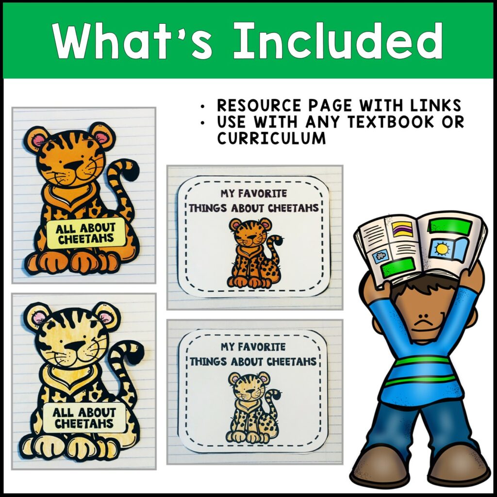 Big Cats: Cheetahs Interactive Foldable Booklets | Made By Teachers