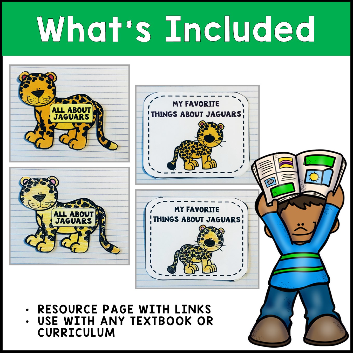 Big Cats: Jaguars Interactive Foldable Booklets | Made By Teachers