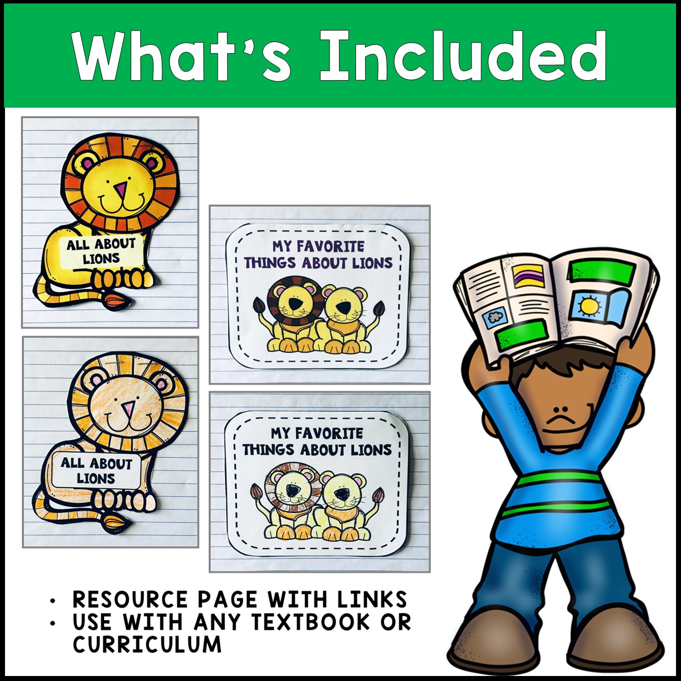 Big Cats: Lions Interactive Foldable Booklets | Made By Teachers