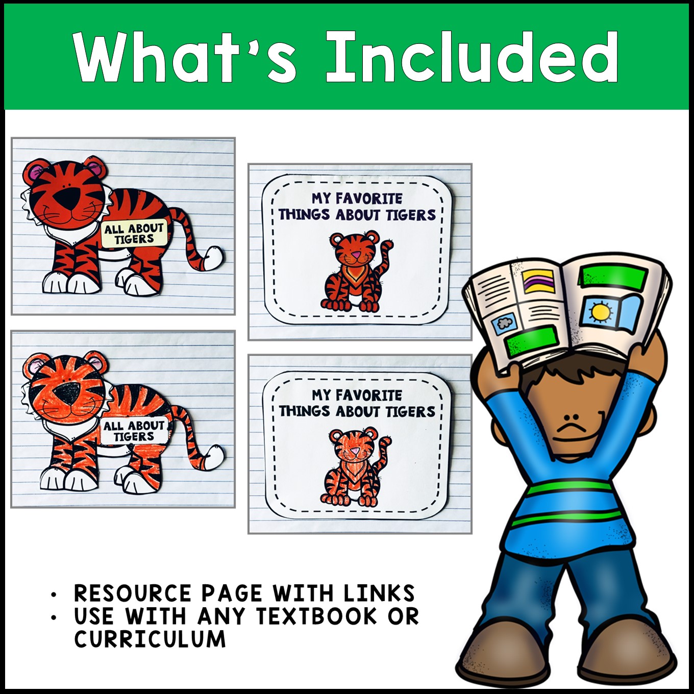 Big Cats: Tigers Interactive Foldable Booklets | Made By Teachers