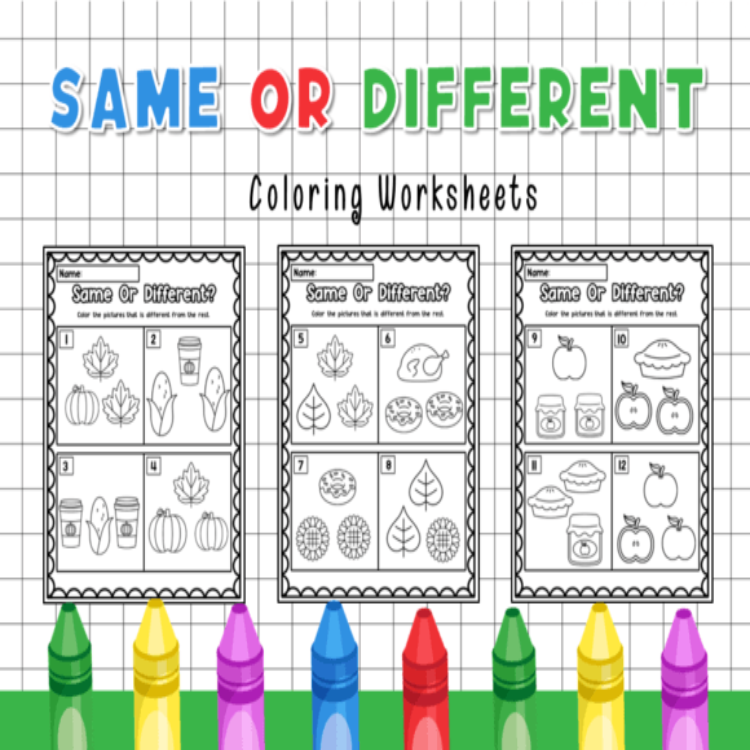 1st | Made By Teachers