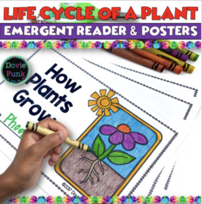 Plant Life Cycle Emergent Reader & Posters | How Plants Grow | Made By ...