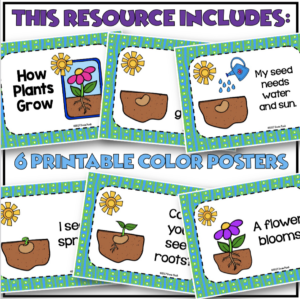 Plant Life Cycle Emergent Reader & Posters | How Plants Grow - Made By ...