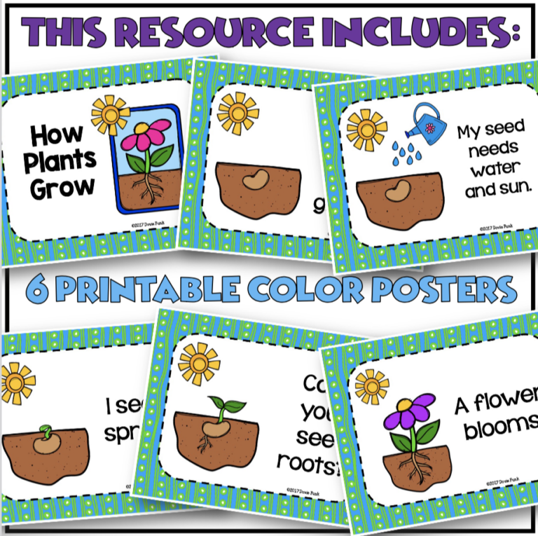 Plant Life Cycle Emergent Reader & Posters | How Plants Grow | Made By ...