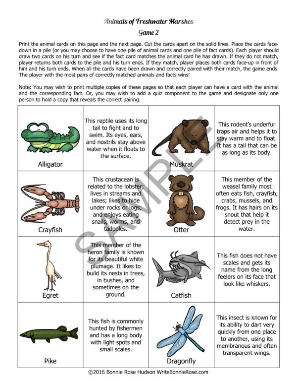Animals of Freshwater Marshes: Animal Facts Matching Game | Made By ...
