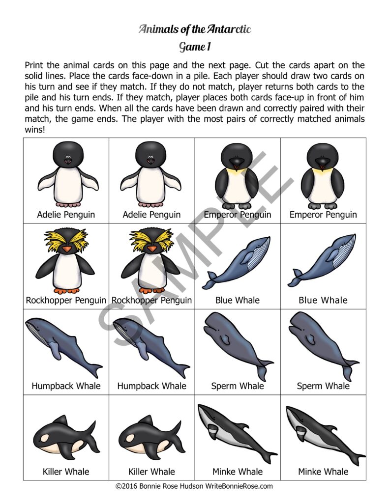 Animals of the Antarctic: Animal Facts Matching Game | Made By Teachers