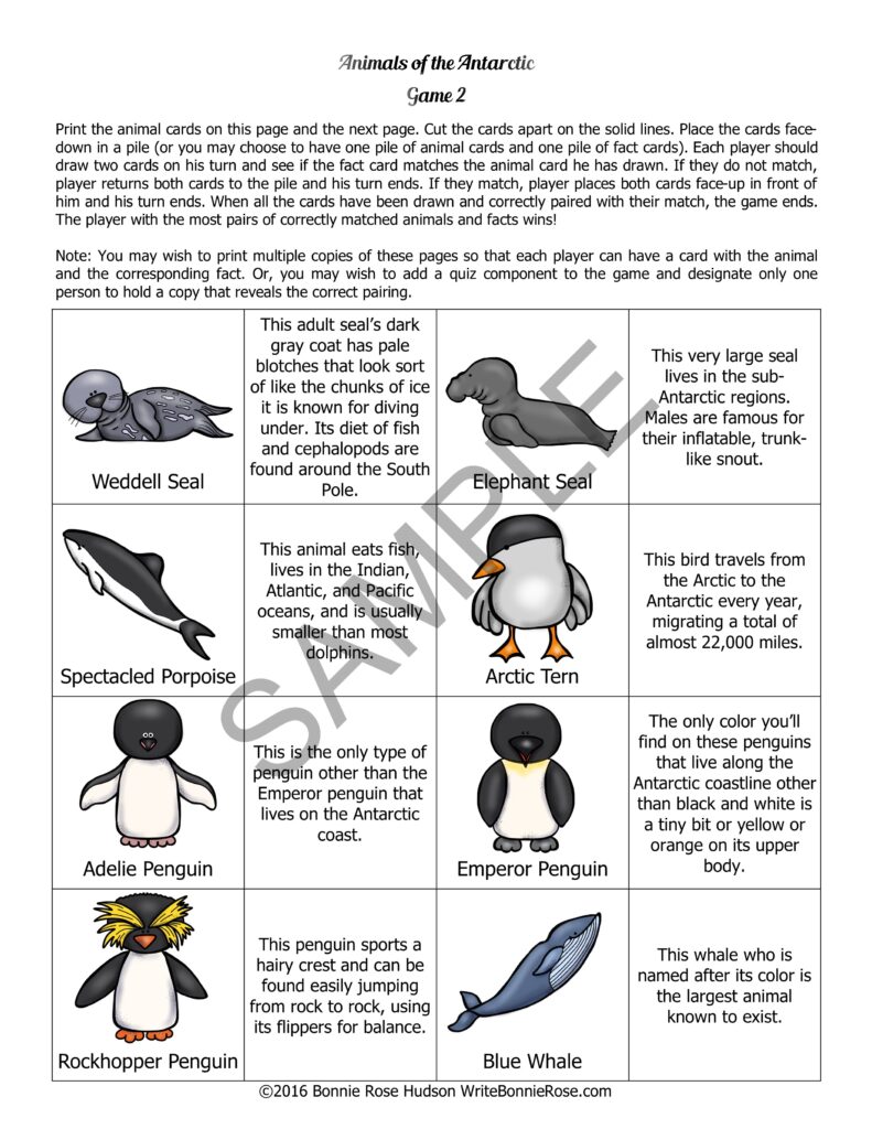 Animals of the Antarctic: Animal Facts Matching Game | Made By Teachers