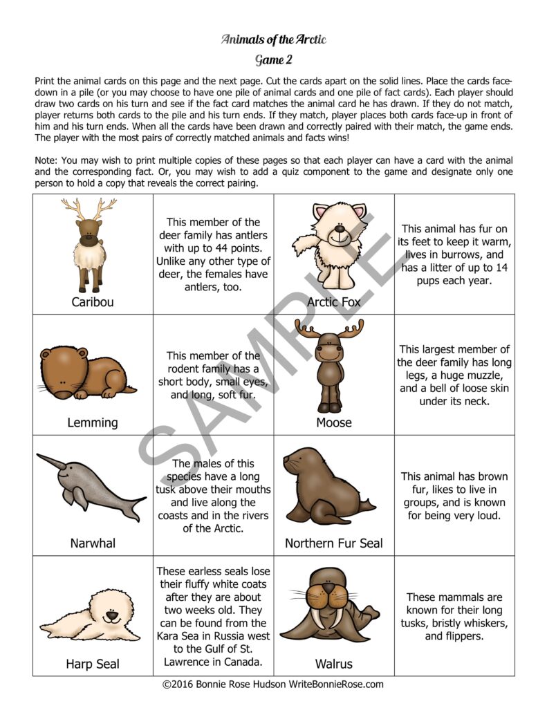Animals of the Arctic: Animal Facts Matching Game | Made By Teachers
