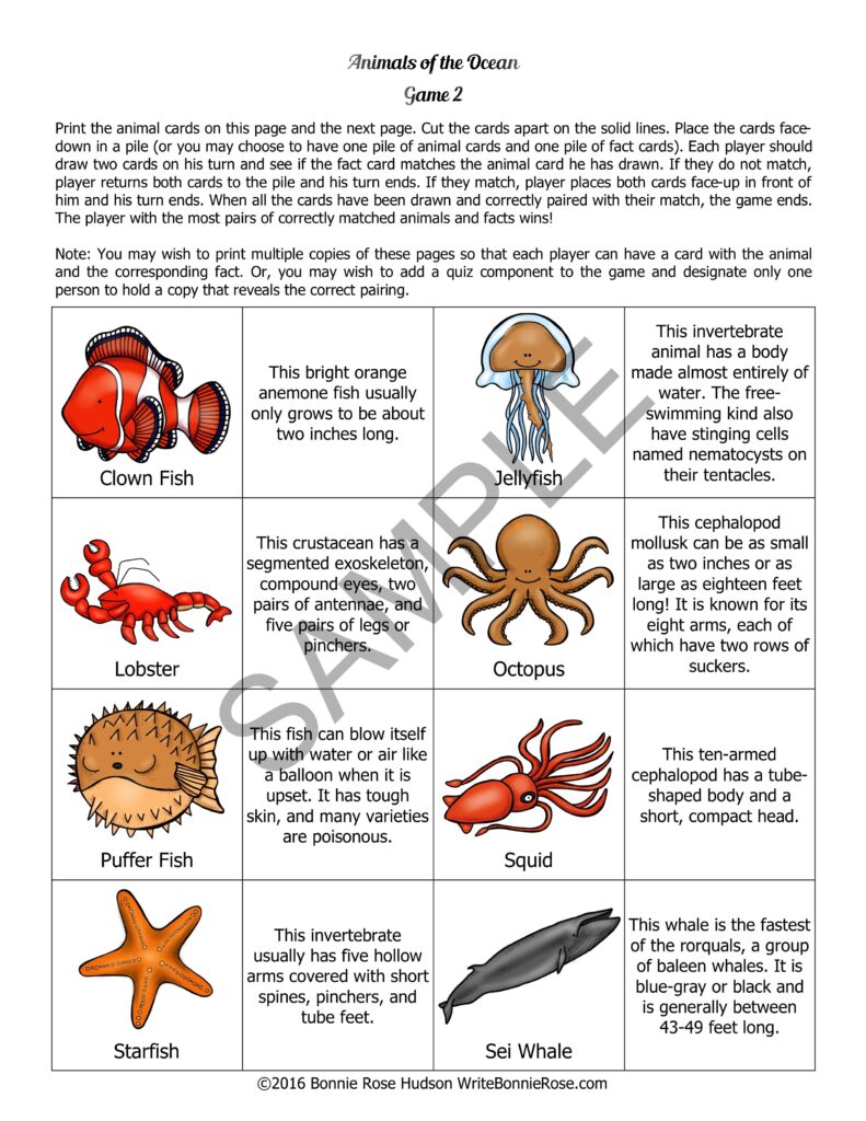Animals of the Ocean: Animal Facts Matching Game | Made By Teachers
