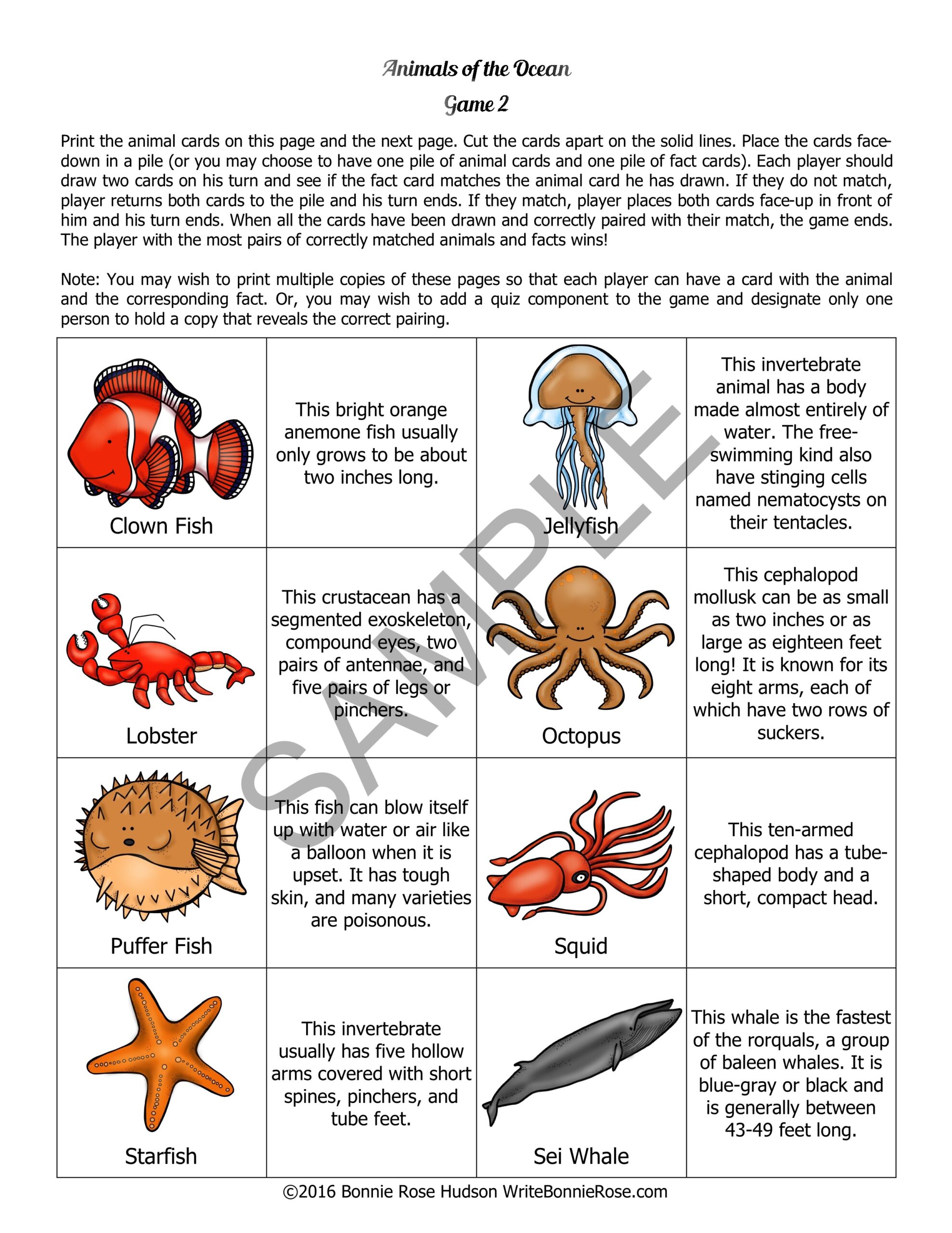 Animals of the Ocean: Animal Facts Matching Game | Made By Teachers
