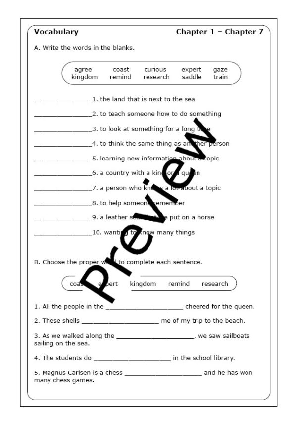 Tracey West "Search for the Lightning Dragon" worksheets | Made By Teachers