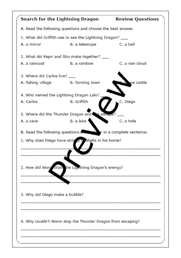Tracey West "Search for the Lightning Dragon" worksheets | Made By Teachers