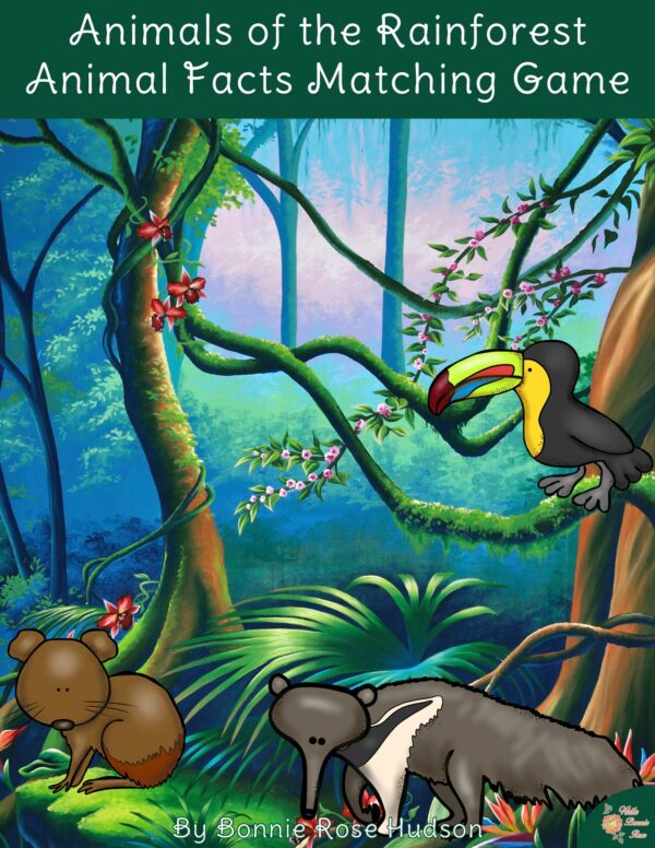 Animals of the Rainforest: Animal Facts Matching Game | Made By Teachers