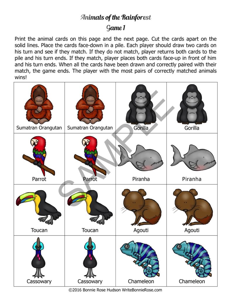 Animals of the Rainforest: Animal Facts Matching Game | Made By Teachers