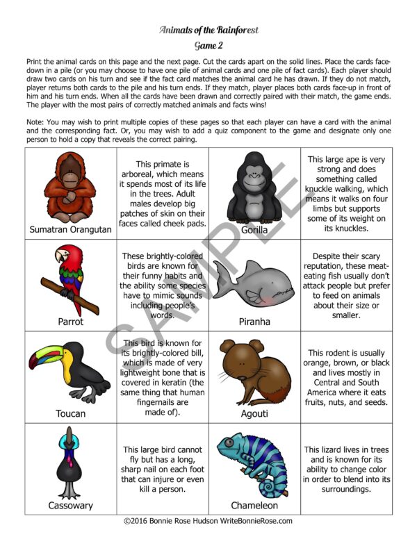 Animals of the Rainforest: Animal Facts Matching Game | Made By Teachers