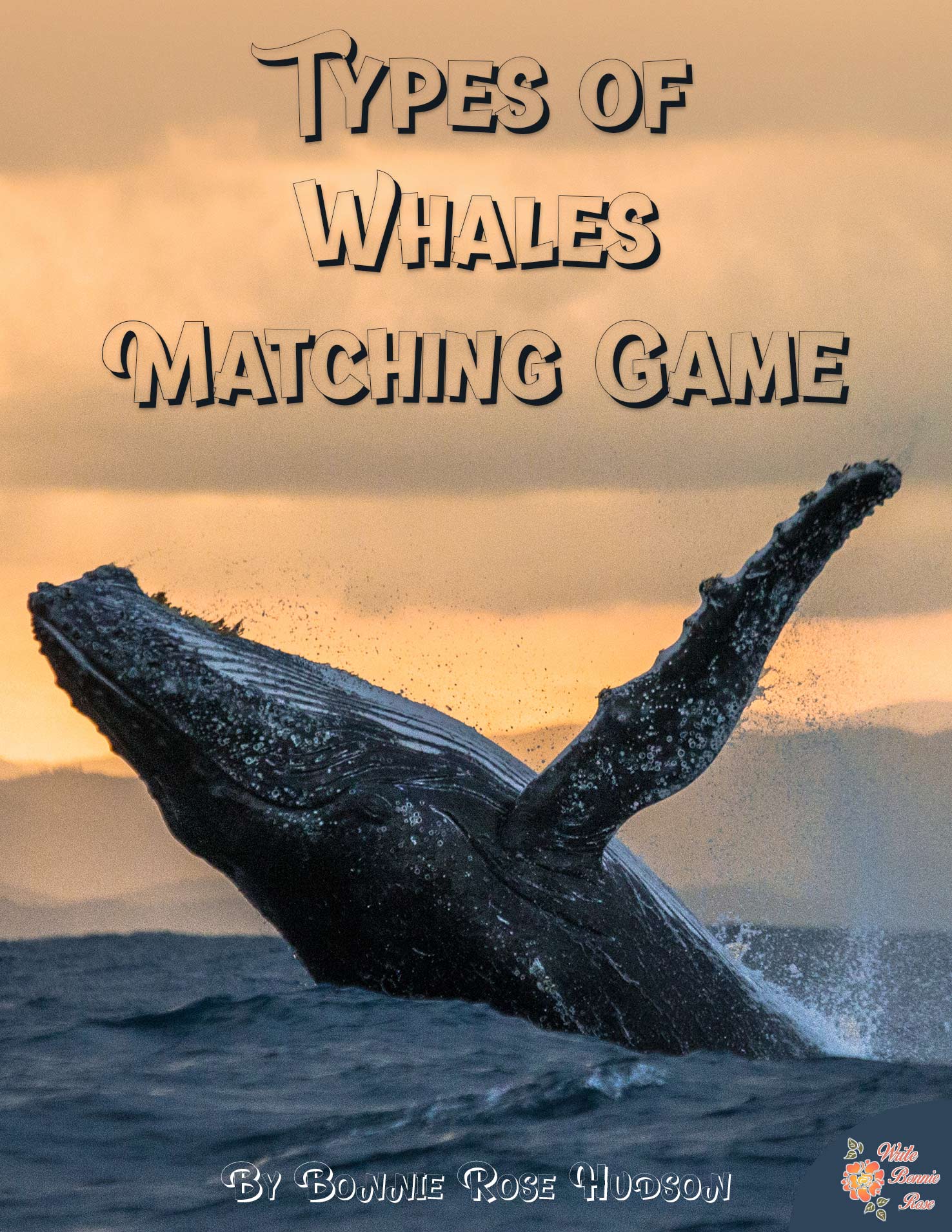 Types of Whales Matching Game | Made By Teachers