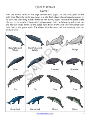 Types of Whales Matching Game | Made By Teachers