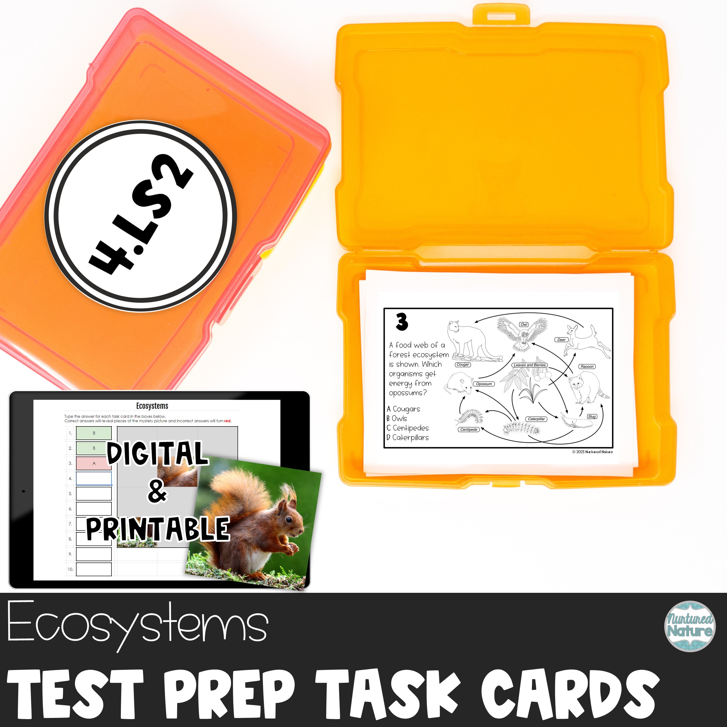 Ecosystems Science Test Prep Task Cards 4.LS2 TNReady | Made By Teachers