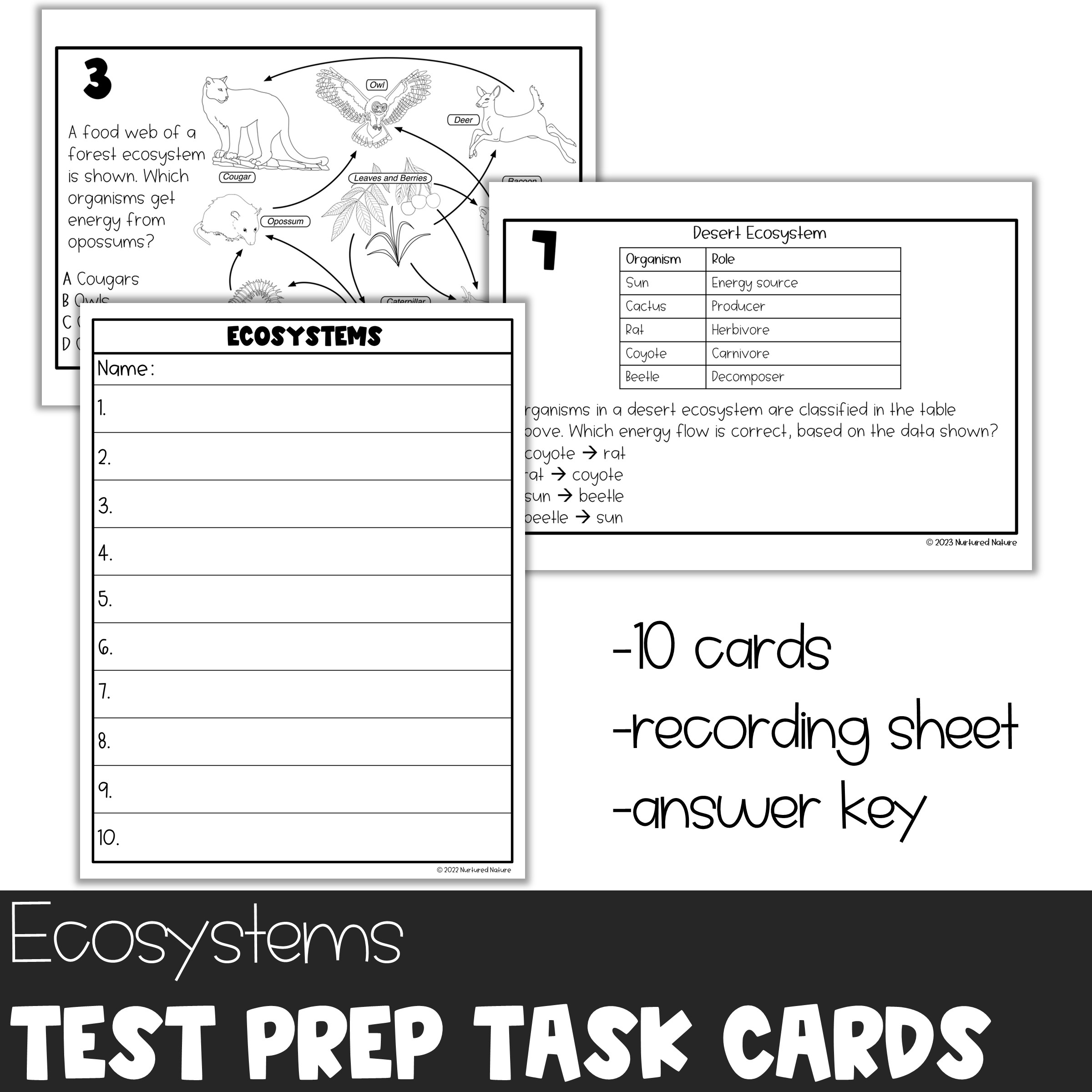 Ecosystems Science Test Prep Task Cards 4.LS2 TNReady | Made By Teachers