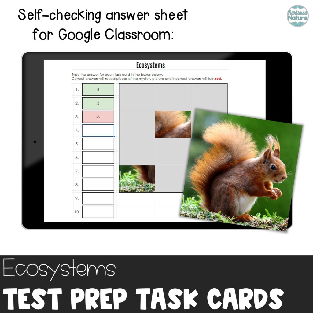 Ecosystems Science Test Prep Task Cards 4.LS2 TNReady | Made By Teachers