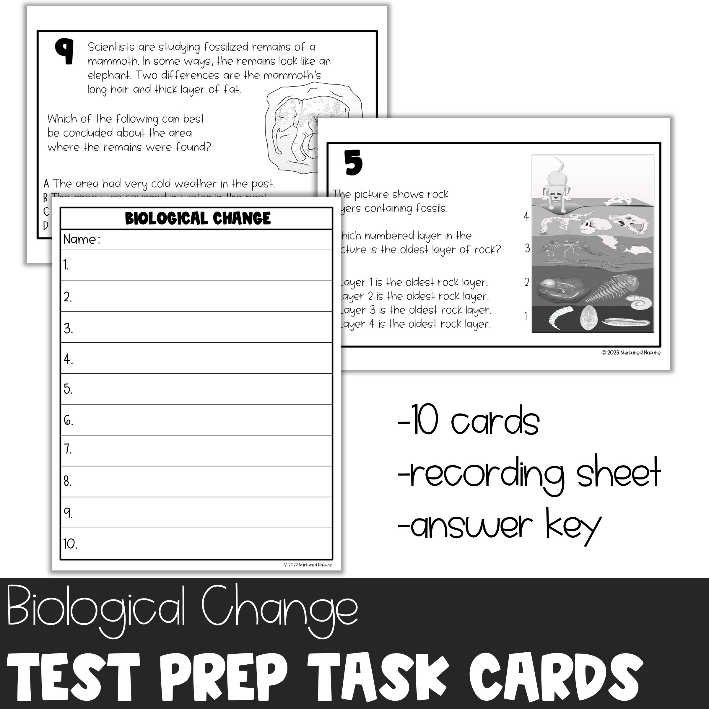 Fossils Science Test Prep Task Cards 4.LS4 - TNReady - Biological ...