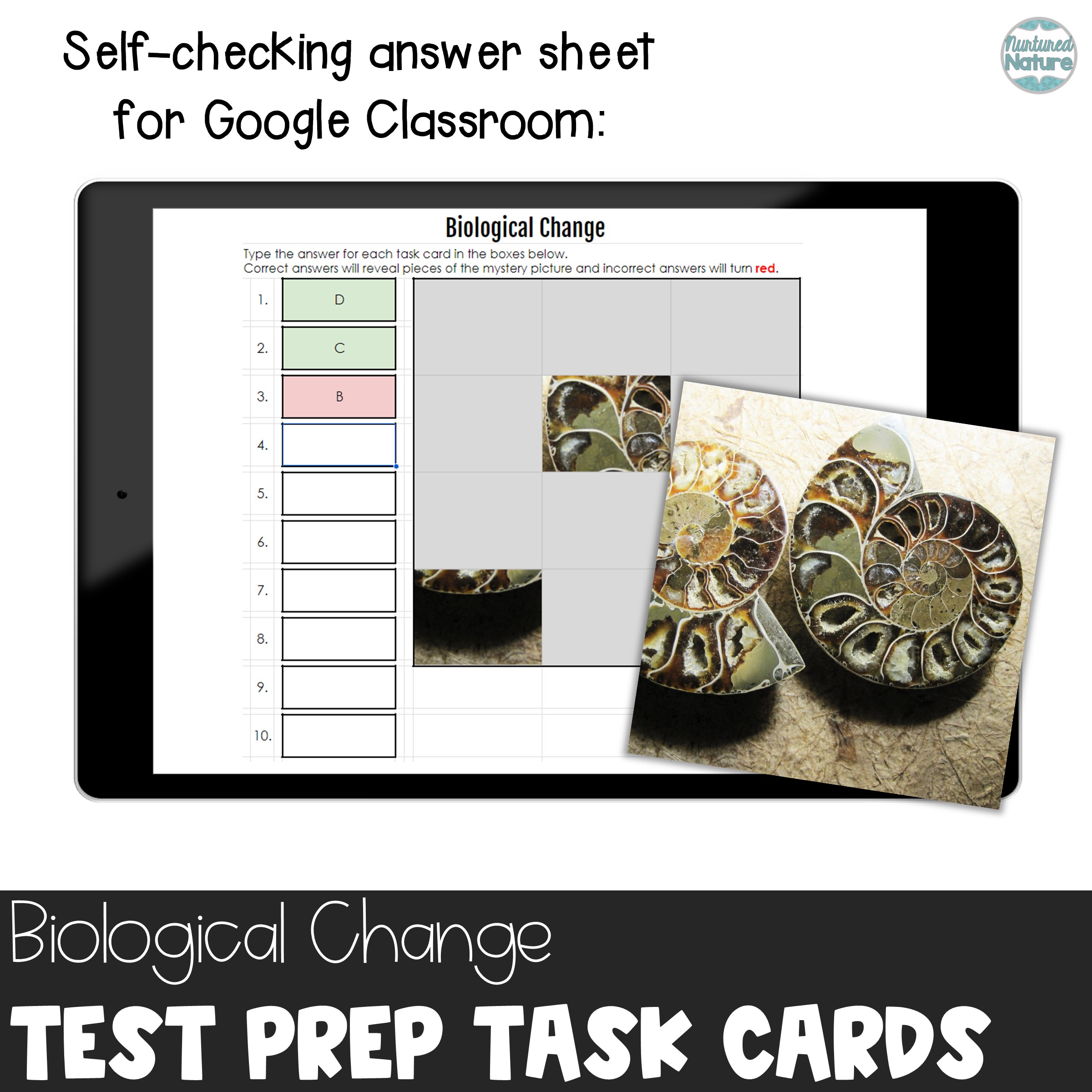 Fossils Science Test Prep Task Cards 4.LS4 - TNReady - Biological ...