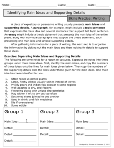 Organizing Main Ideas and Supporting Details Skills Practice: Writing ...