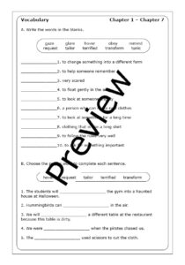 Tracey West "Roar of the Thunder Dragon" worksheets | Made By Teachers