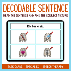 Decodable Sentences CVC words Special Education | Made By Teachers