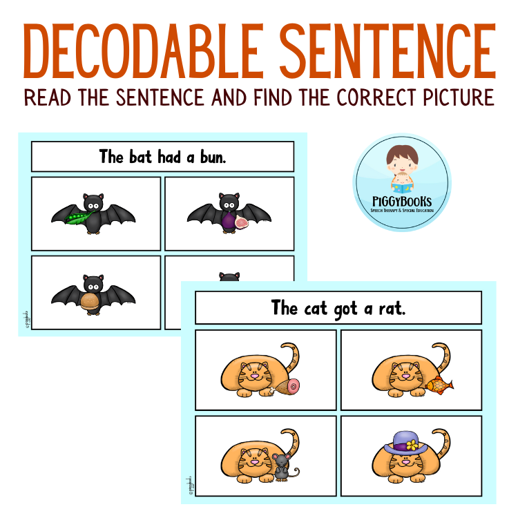 Decodable Sentences CVC words Special Education | Made By Teachers