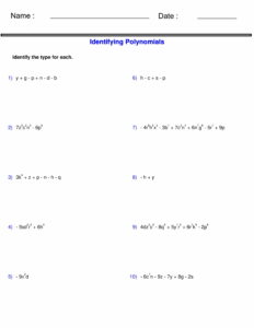 Identifying Type of Polynomials - Monomials and Polynomials Worksheets ...
