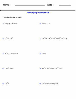 Identifying Type of Polynomials - Monomials and Polynomials Worksheets ...