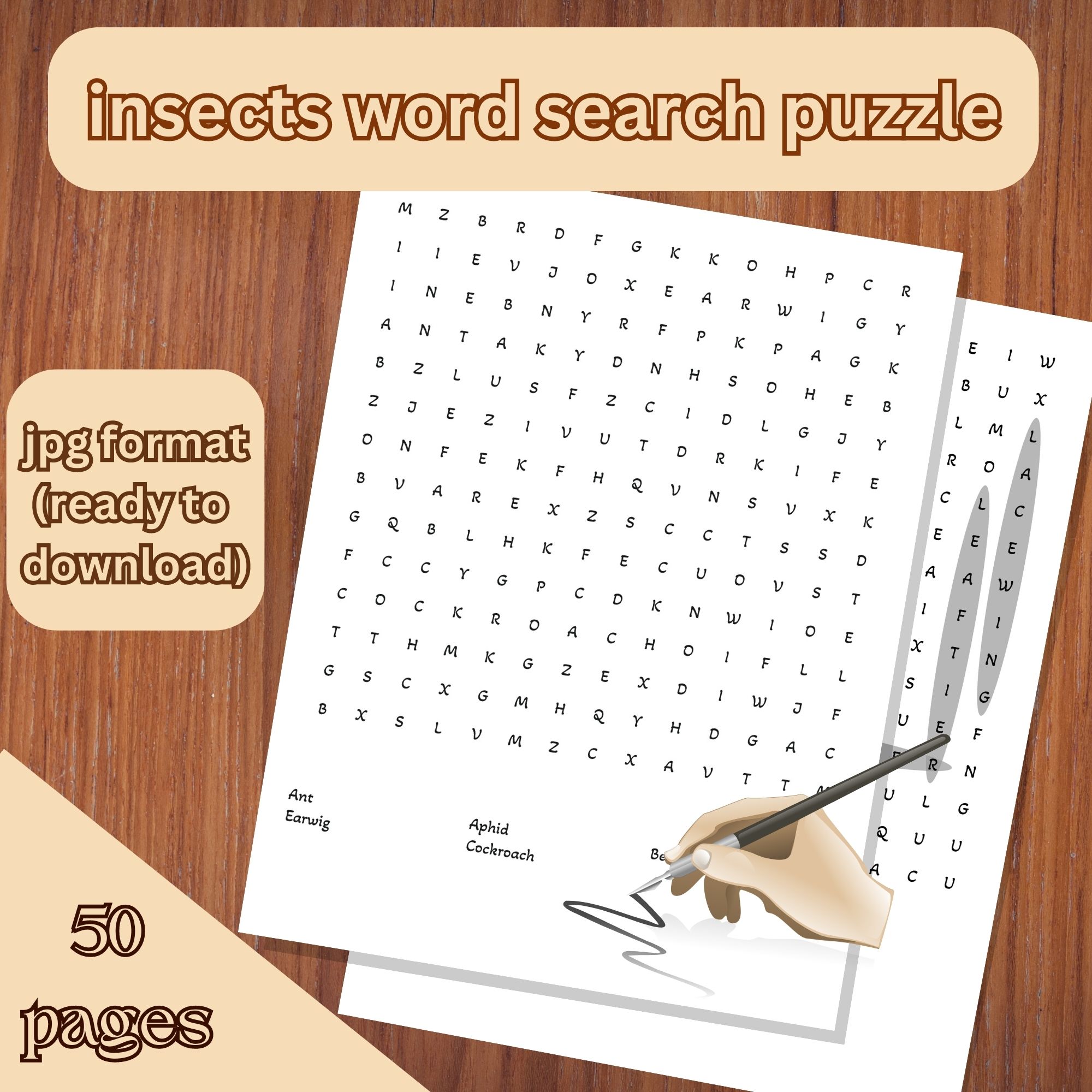 insects word search puzzle | Made By Teachers