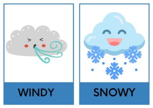 Weather Flash Cards, Climate Vocabulary Cards, ESL, EFL English Word ...