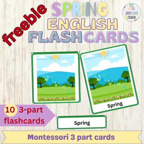 FREE Spring Vocabulary Flashcards, Montessori 3-Part cards|ESL ...