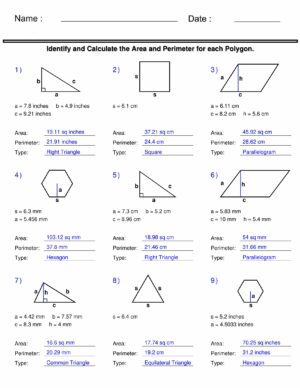 Area and Perimeter Using Various Polygons - Quadrilaterals and Polygons ...