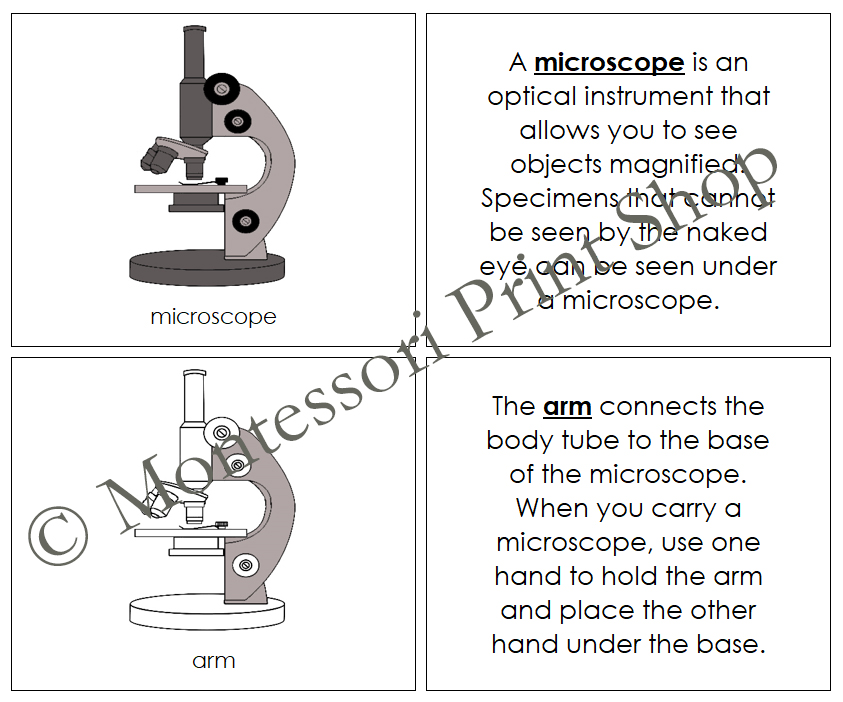 Parts of a Microscope Book - Montessori Nomenclature | Made By Teachers