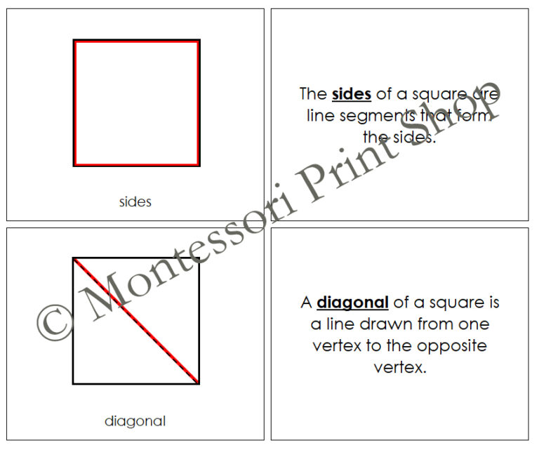 The Study of a Square Book - Montessori Elementary Geometry | Made By ...
