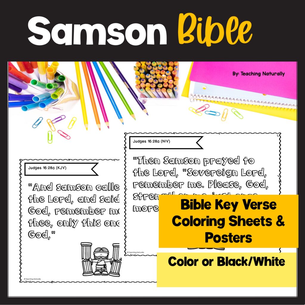 Samson Bible Lesson and Activities Making Good Choices Lesson Primary ...