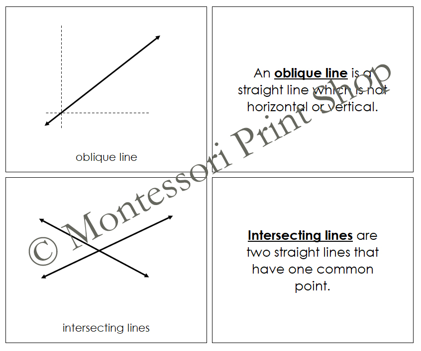The Study of Lines Book - Montessori Elementary Geometry | Made By Teachers