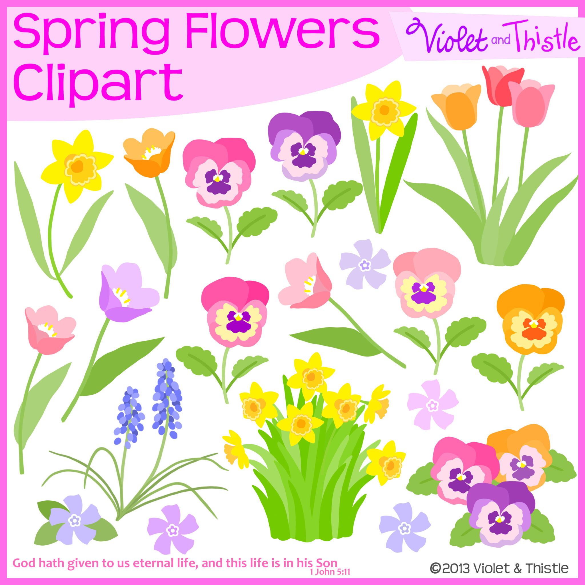 Spring Flowers Clipart Set 1 Pansy Daffodils Tulips Pansies Hyacinth ...