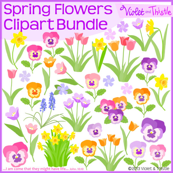 Spring Flower Clipart BUNDLE Tulip Daffodil Hyacinth Pansy Clip Art ...