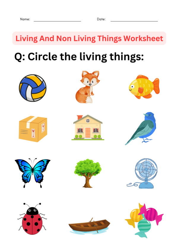 Science Living And Non Living Things Worksheet For Grade 1 2 3 4