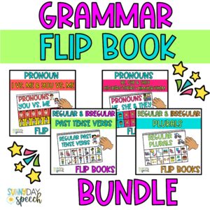 Grammar Flip Book Bundle Pronouns, Regular and Irregular Plurals Past ...