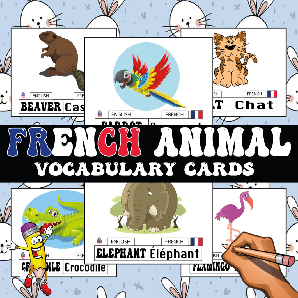 FRENCH 50 animal vocabulary cards with English translation | Made By ...