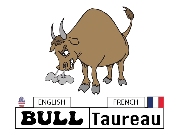 FRENCH 50 animal vocabulary cards with English translation | Made By ...