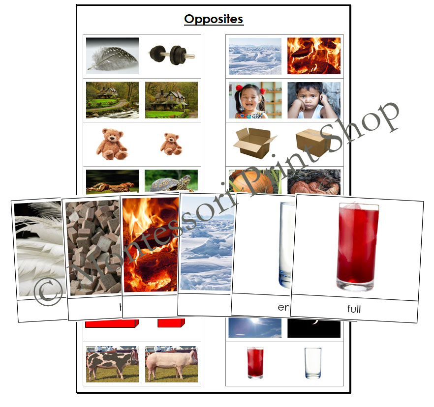 Opposites with Pictures - Matching Cards & Control Chart | Made By Teachers
