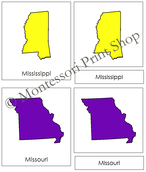 US States of America 3-Part Cards (color-coded) | Made By Teachers