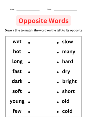 opposite words worksheet for grade 1, 2, 3 | Made By Teachers